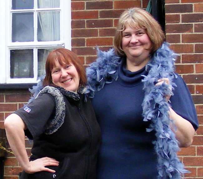 STRAWBSWEB - Features