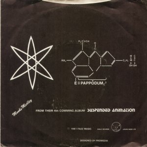 RELATED BANDS AND ARTISTS
